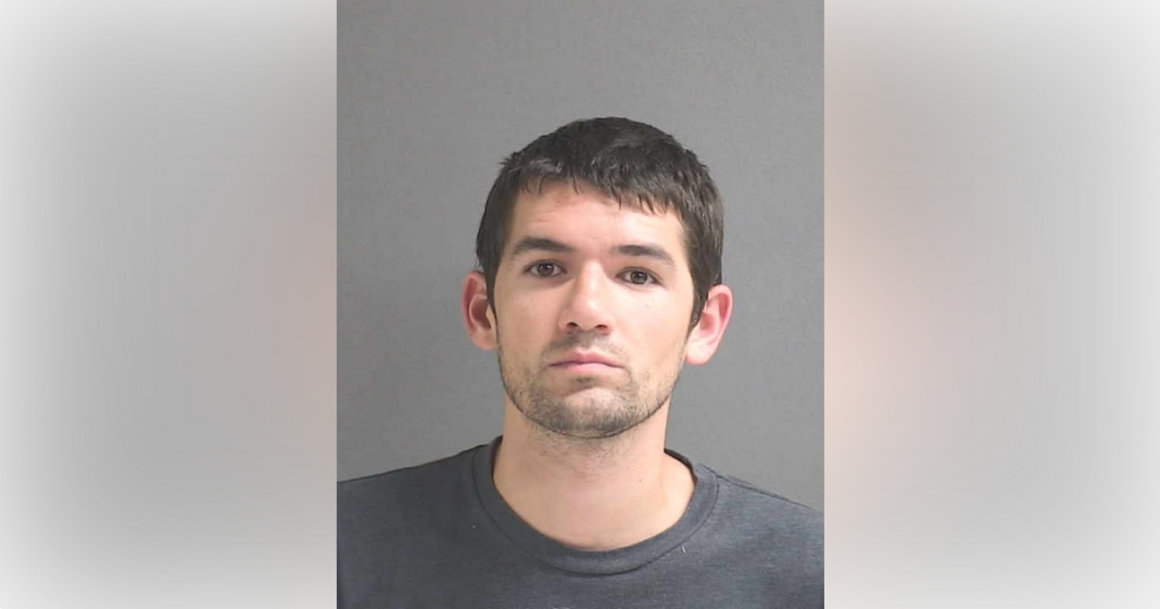 Prowler arrested after peering into windows, hiding in swamp in DeBary ...