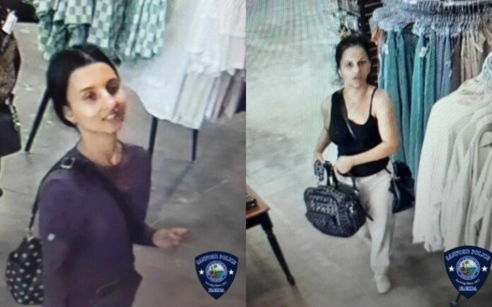 Women wanted for stealing from Sanford children's thrift store ...