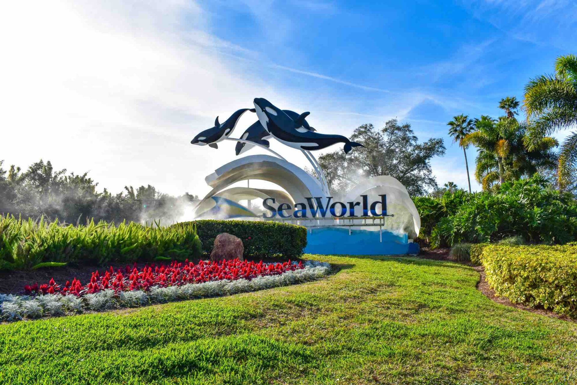 Free SeaWorld annual passes for Florida teachers - Orlando-News.com