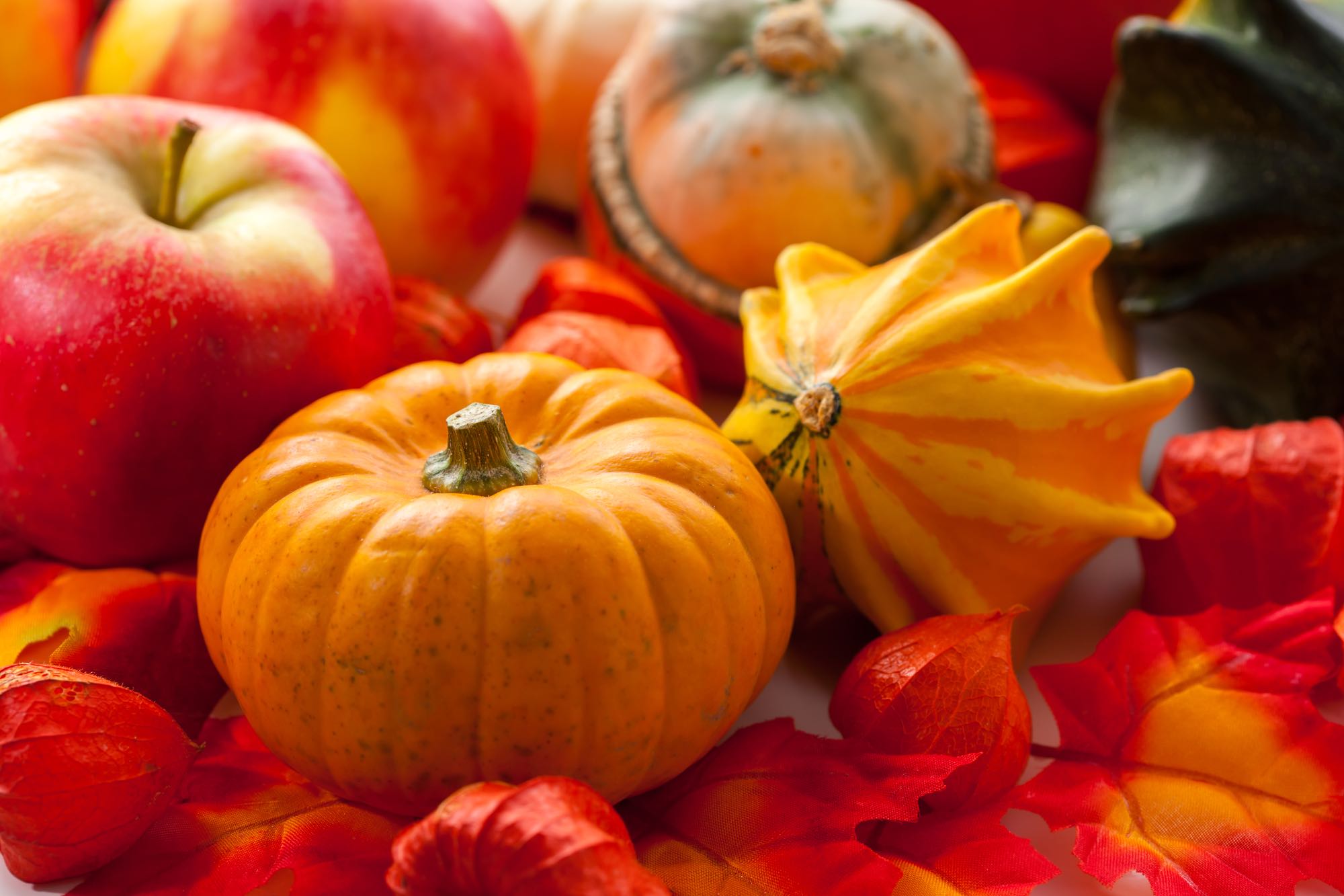 Fall Festivals around Orange County this weekend - Orlando-News.com