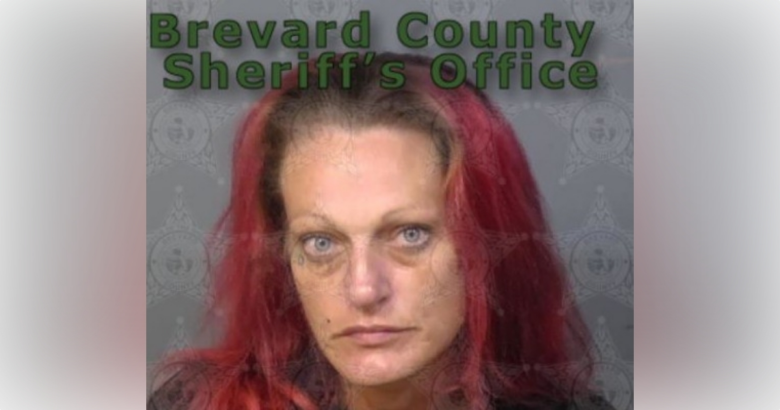 Brevard woman who sold meth at her home gets over 17 years in prison ...