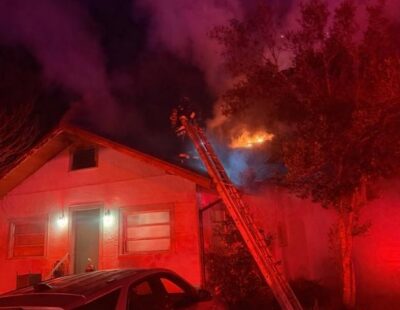 Cat rescued from DeLand house fire - Orlando-News.com
